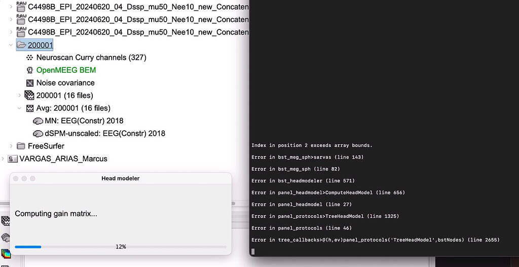 Curry output files of CTF MEG-EEG: Cannot compute MEG head model ...
