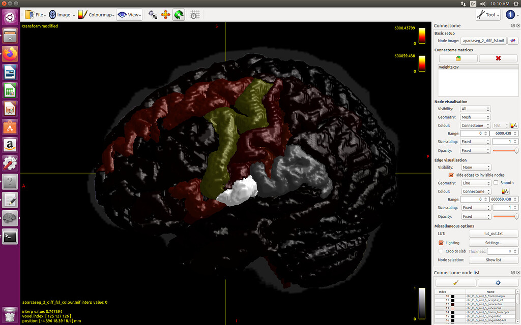 Connectome viewing - Discussions - Brainstorm