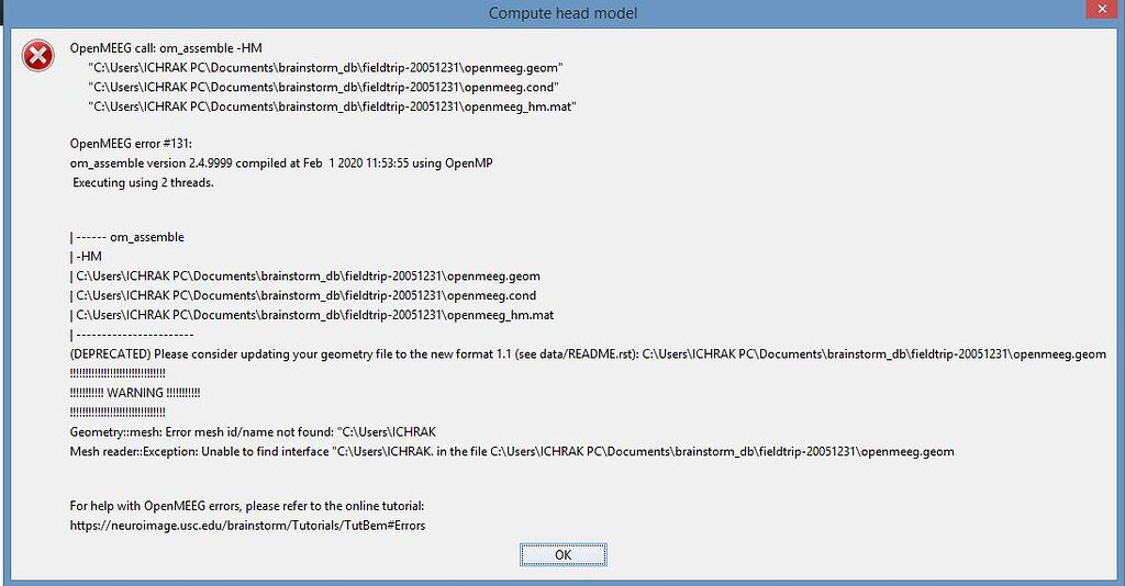 Open MEEG BEM error - openmeeg - Brainstorm