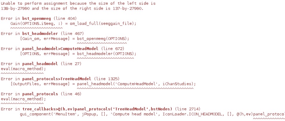 Head Model Computation using BEM - Bugs - Brainstorm
